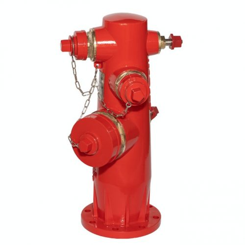 Solutions And Products | Safety | Security | First Advanced